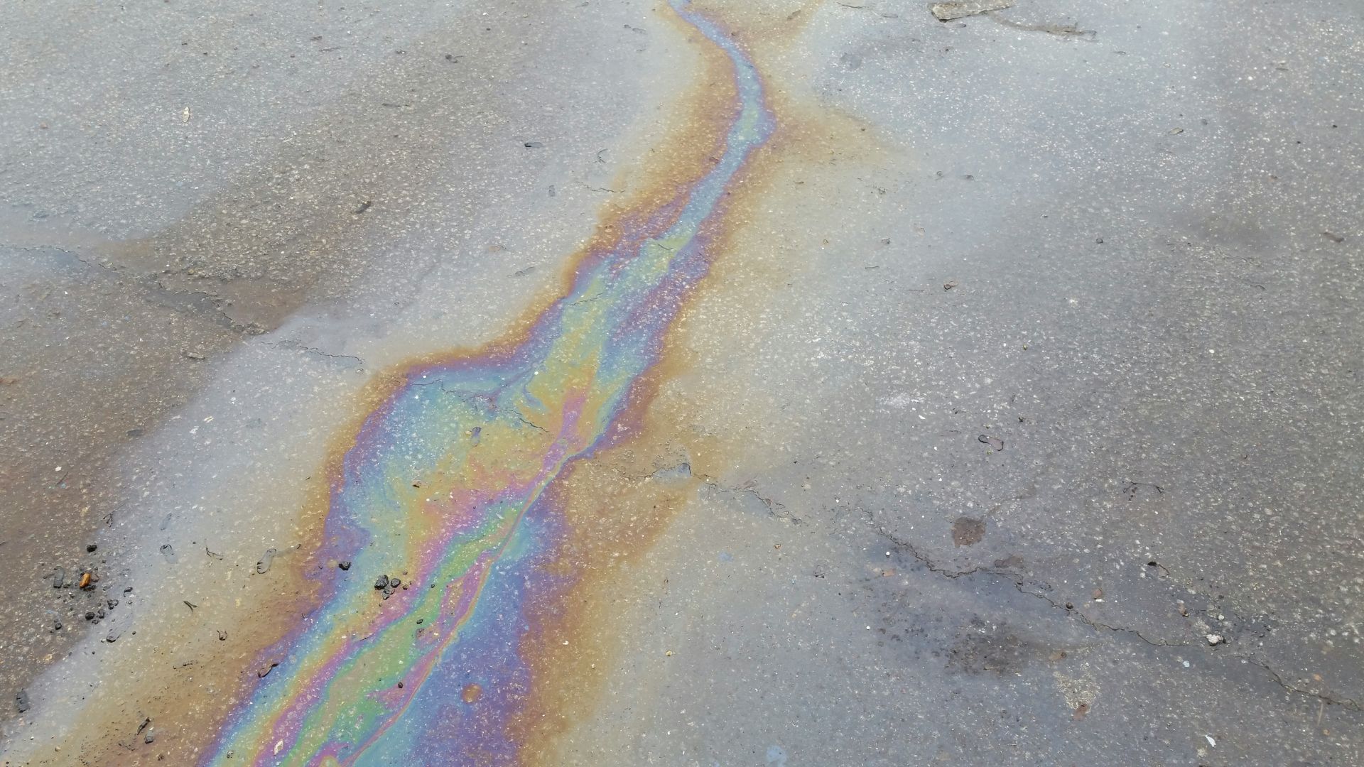 Diesel Spillage Clean-Up | Vinci Response